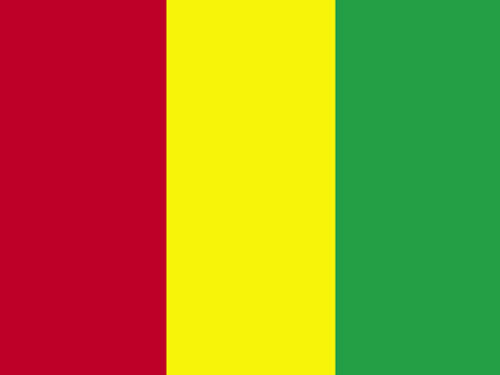Guinea Ceremonial Flag Set (High-Quality)