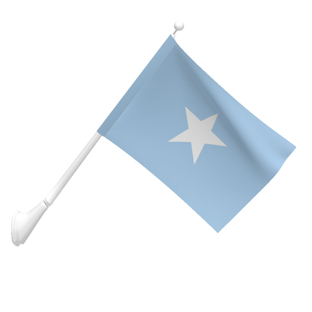 Somalia Flag (Heavy Duty Nylon Flag)